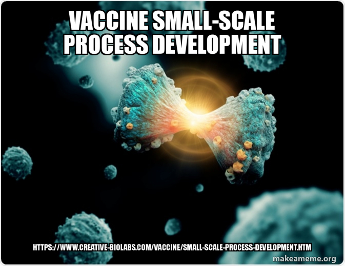vaccine Small-Scale Process Development https://www.creative-biolabs.com/vaccine/small-scale ...
