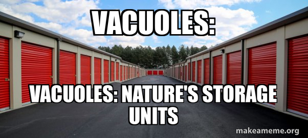 VACUOLES: Vacuoles: Nature's Storage Units Meme Generator