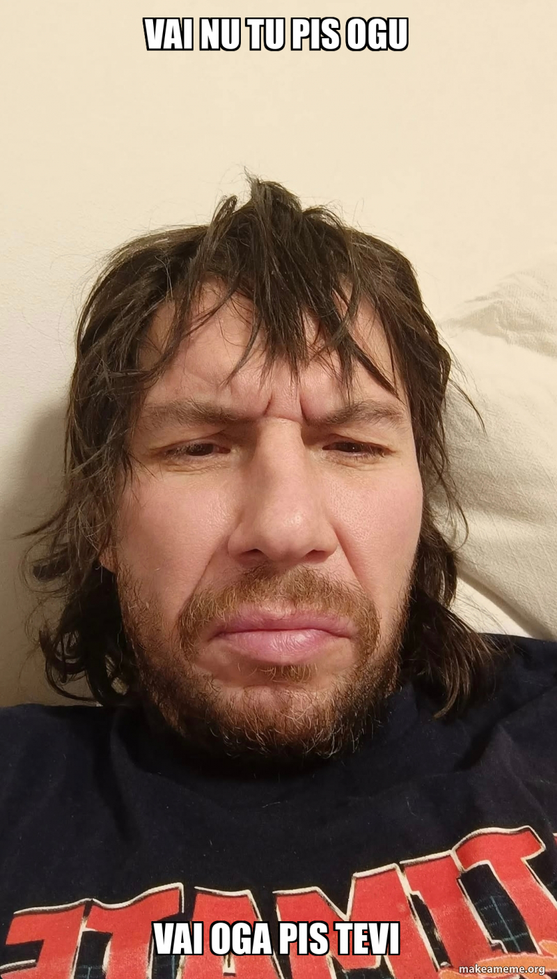 VAI NU TU PIS OGU Vai oga PIS tevi Meme Generator