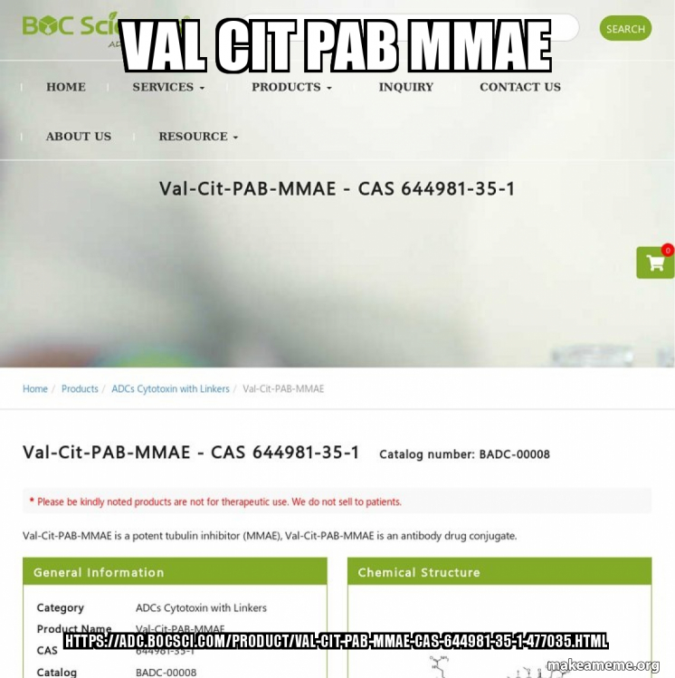 val cit pab mmae https://adc.bocsci.com/product/val-cit-pab-mmae-cas ...