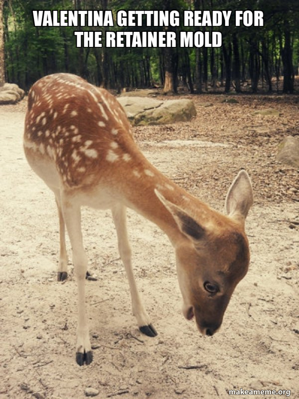 valentina getting ready for the retainer mold - O M G Deer Meme Generator