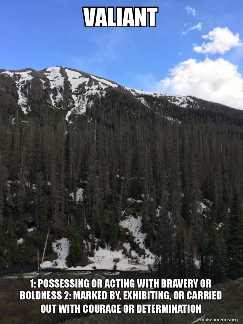 Valiant 1: possessing or acting with bravery or boldness 2: marked by ...