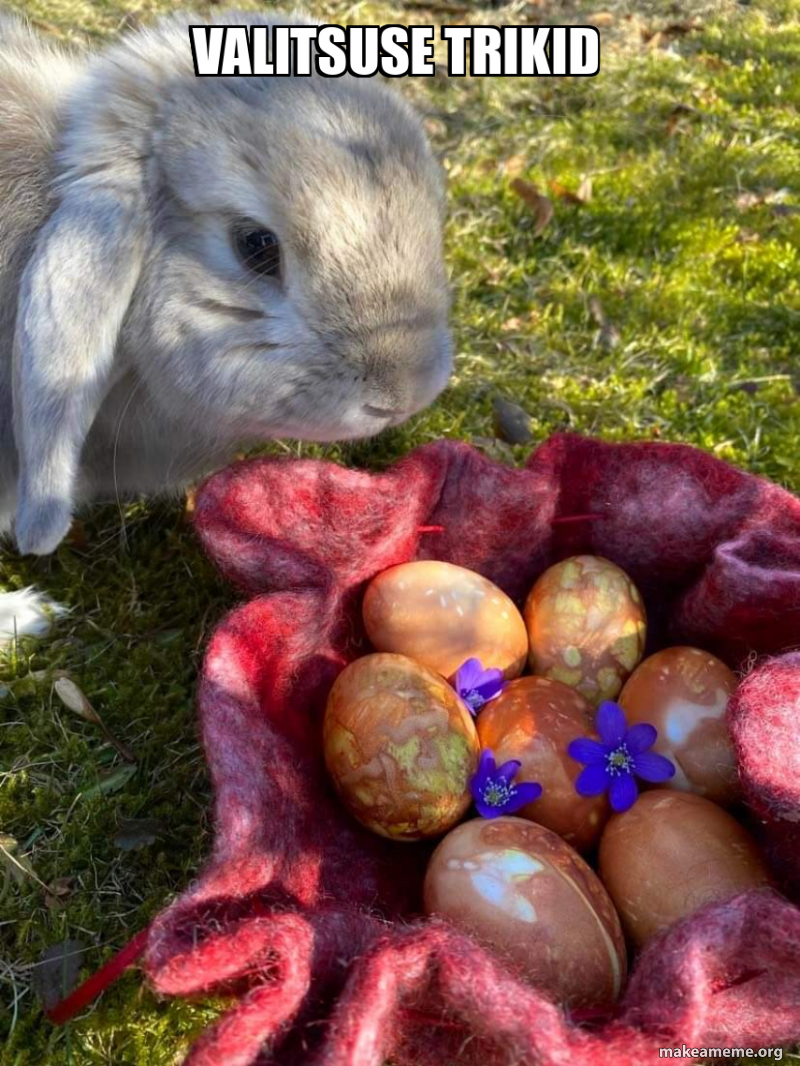 valitsuse trikid Meme Generator