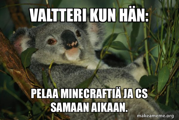 Valtteri kun hÃ¤n: Pelaa minecraftiÃ¤ ja cs samaan aikaan. - Laid Back ...