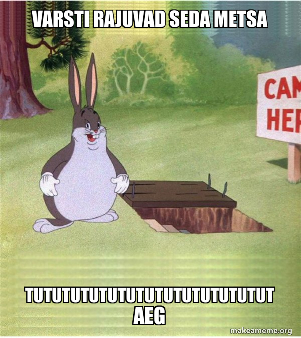 varsti rajuvad seda metsa tututututututututututututut AEG - Big Chungus ...