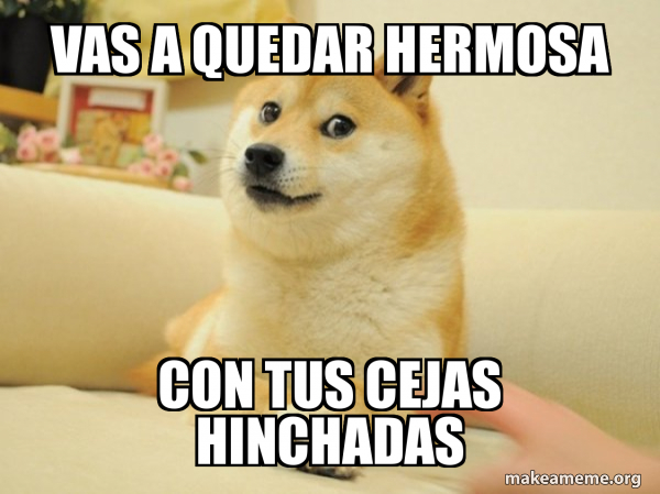 Vas a quedar hermosa Con tus cejas hinchadas - Doge Meme Generator