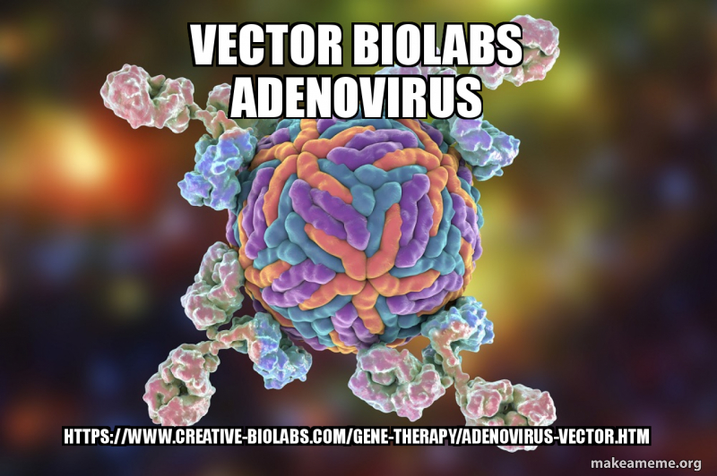 vector biolabs adenovirus https://www.creative-biolabs.com/gene-therapy ...