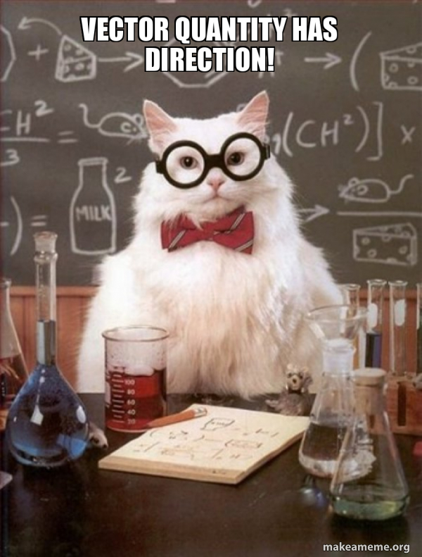 vector quantity has direction! - Chemistry Cat Meme Generator