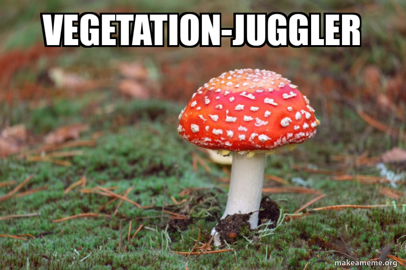 vegetation-juggler Meme Generator