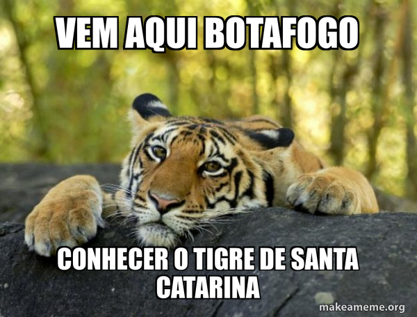 Vem aqui Botafogo conhecer o Tigre de Santa Catarina - Confession Tiger ...