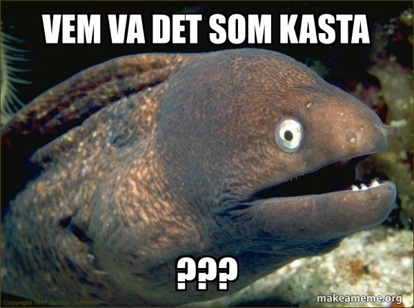 Vem va det som kasta ??? - Bad Joke Eel Meme Generator