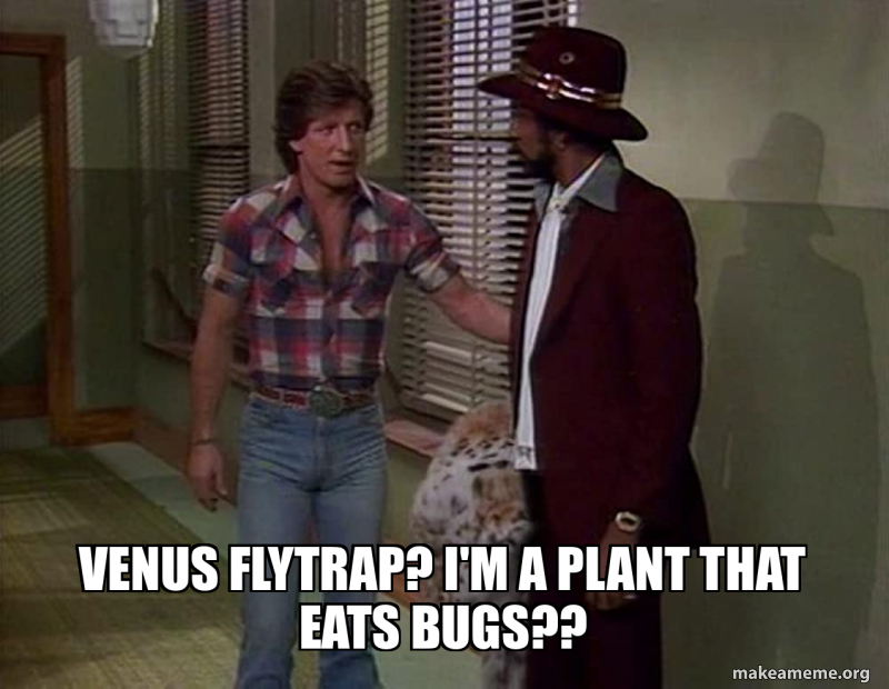 Venus flytrap? I'm a plant that eats bugs?? Meme Generator
