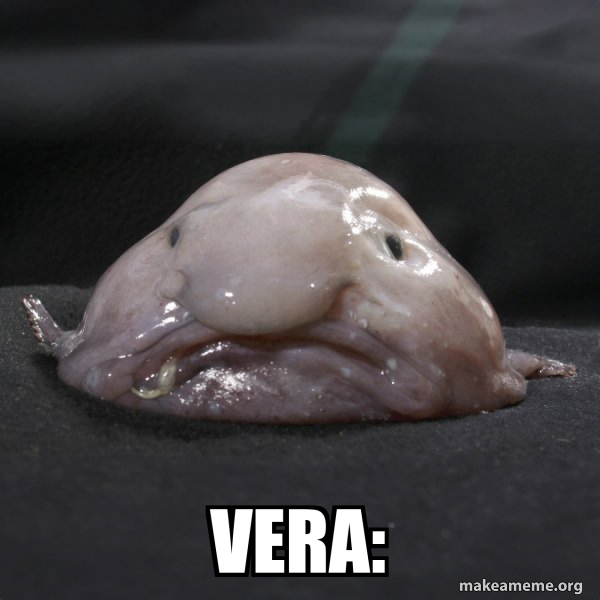 Vera: - Blobfish Meme Generator