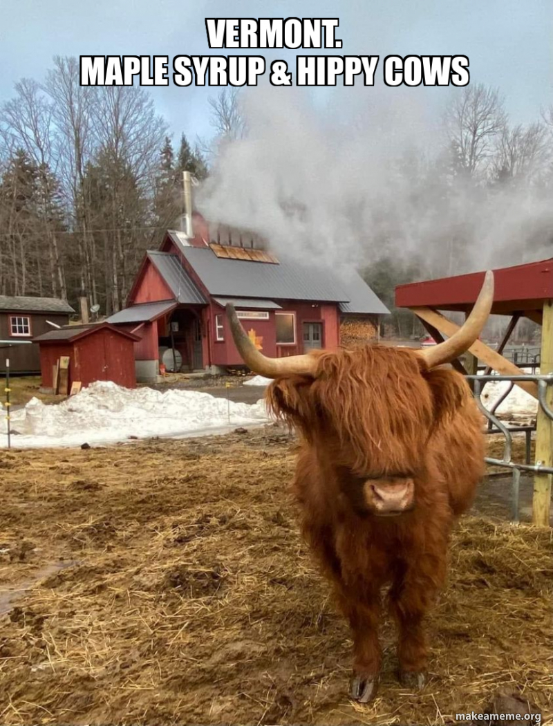 VERMONT. MAPLE SYRUP & HIPPY COWS Meme Generator