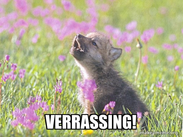 verrassing! - Baby Insanity Wolf Meme Generator
