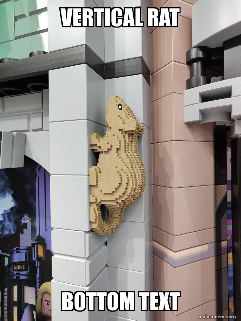 Vertical rat Bottom text Meme Generator