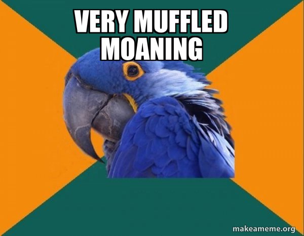 very muffled moaning - Paranoid Parrot Meme Generator