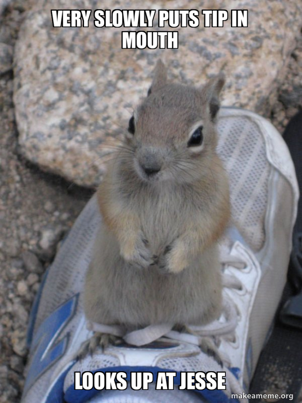 Very slowly puts tip in mouth Looks up at Jesse - Standover Squirrel ...