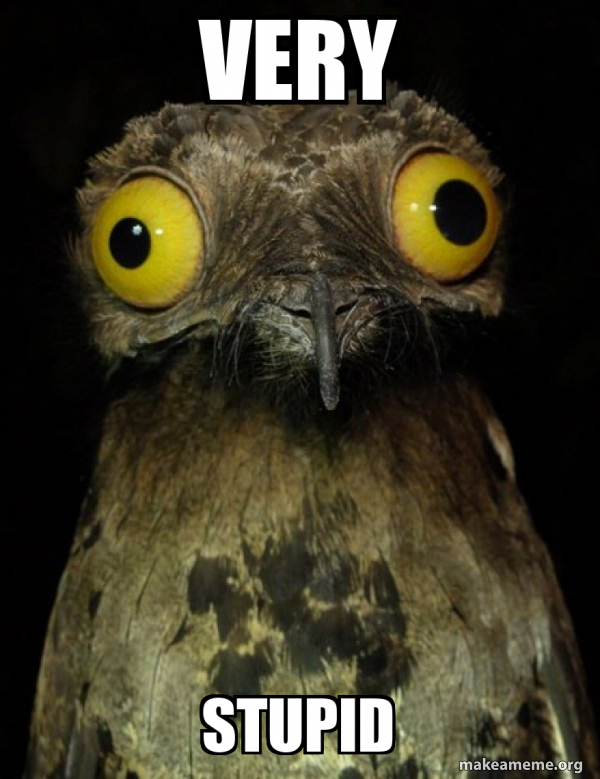 VERY STUPID - Weird Stuff I do Potoo Meme Generator