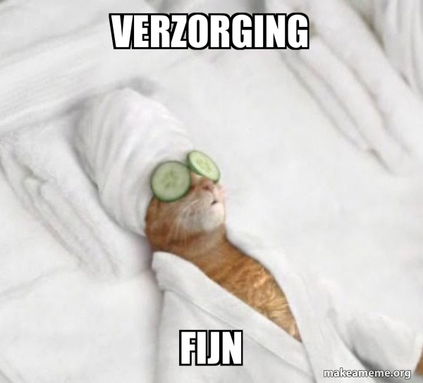 VERZORGING FIJN - Pampered Cat Meme Meme Generator