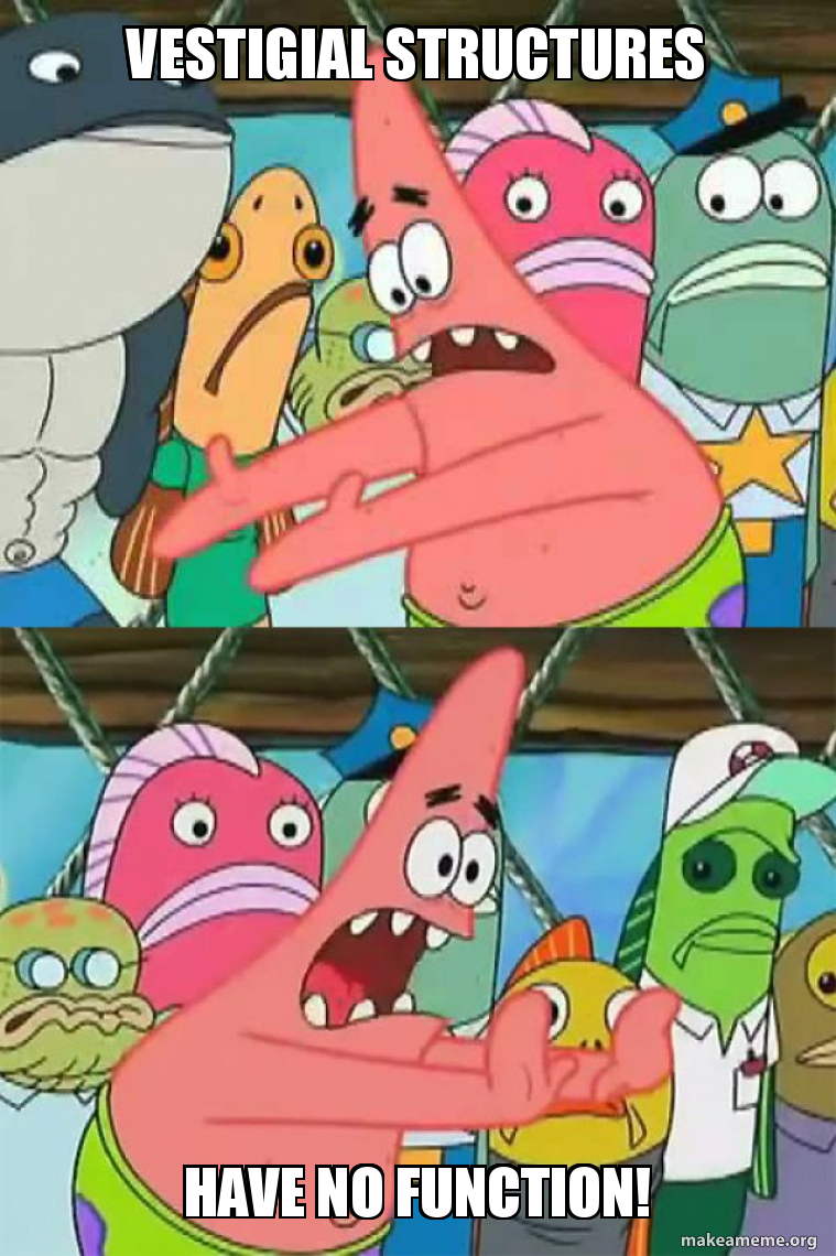 Vestigial Structure Memes