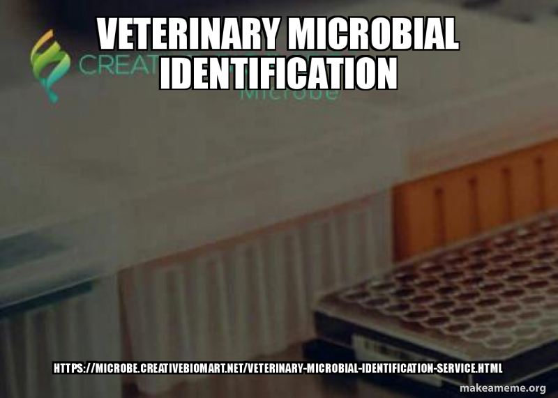 Veterinary Microbial Identification https://microbe.creativebiomart.net ...