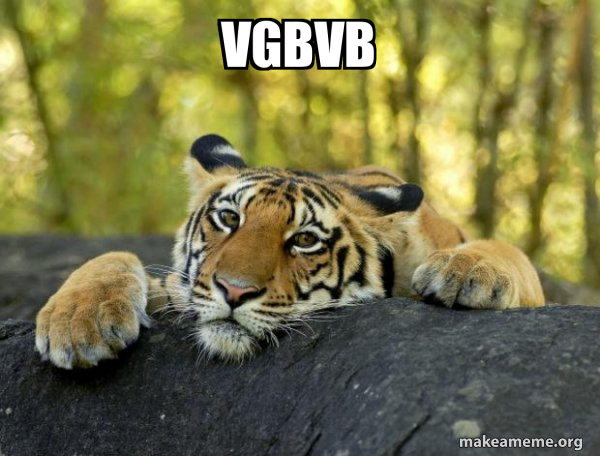 vgbvb - Confession Tiger Meme Generator