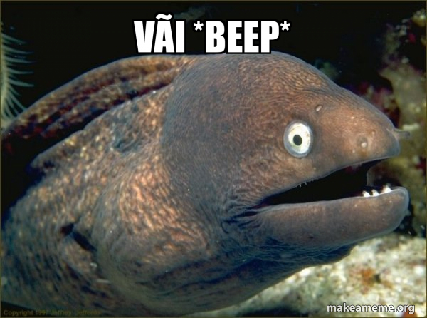 vãi *beep* - Bad Joke Eel Meme Generator