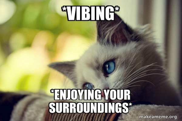 *vibing* *enjoying your surroundings* - First World Cat Problems Meme ...