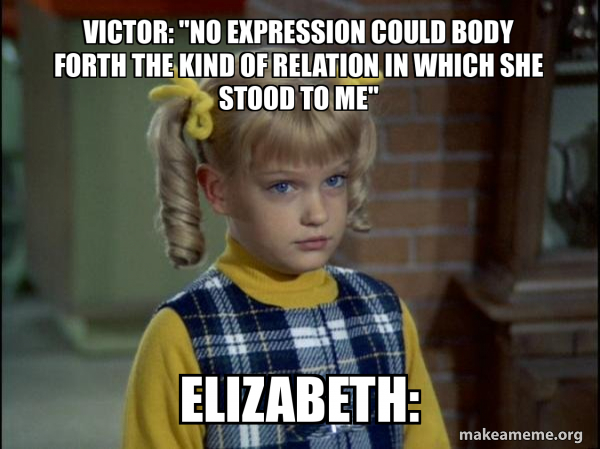 Victor: "no expression could body forth the kind of relation in which ...