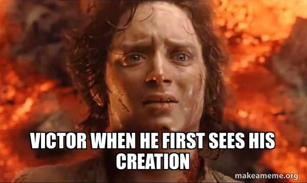 Victor when he first sees his creation - Frodo it's over it's done Meme ...
