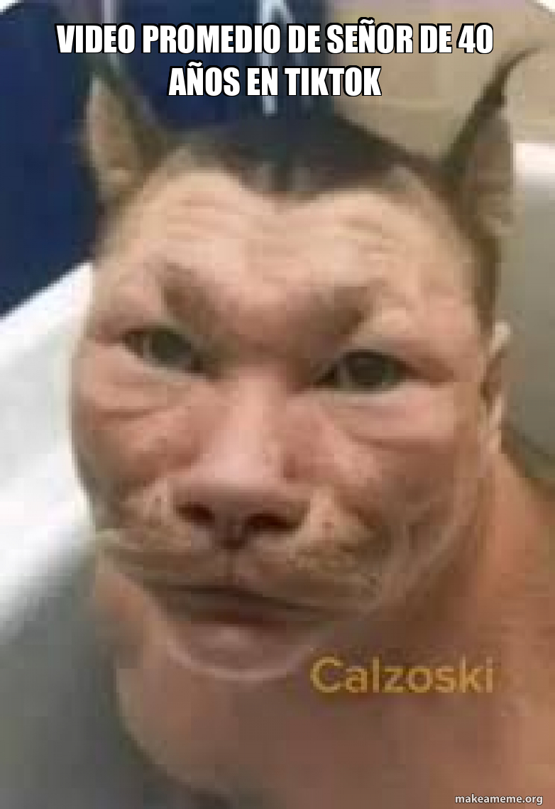 Video promedio de señor de 40 años en tiktok Meme Generator