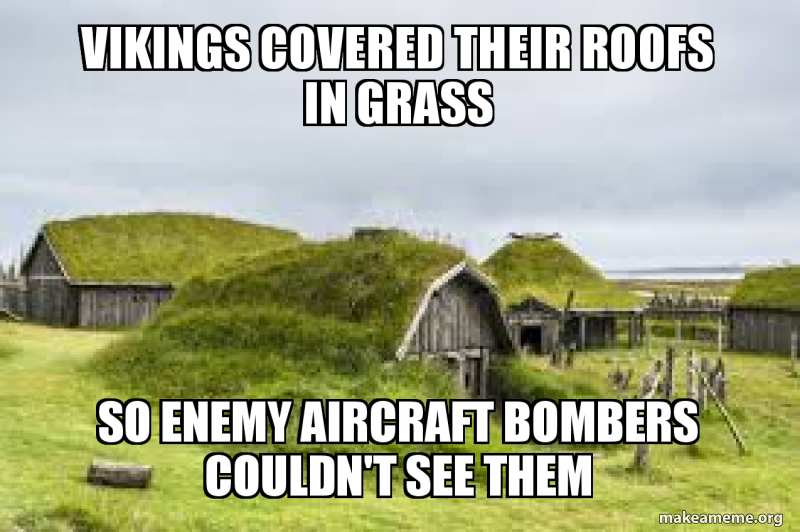 Vikings covered their roofs in grass SO ENEMY AIRCRAFT BOMBERS COULDN'T ...