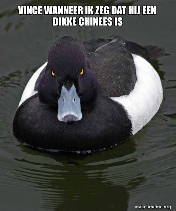 vince wanneer ik zeg dat hij een dikke chinees is - Revenge Duck ...