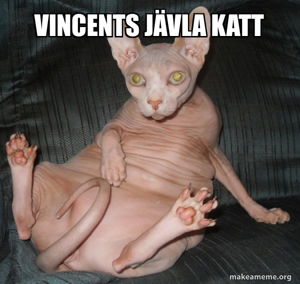 VINCENTS JÄVLA KATT - Hairless Cat Meme Generator