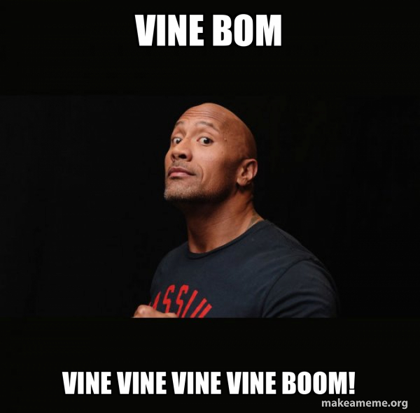 vine bom vine vine vine vine boom! - Dwayne Johnson (The Rock) Meme ...