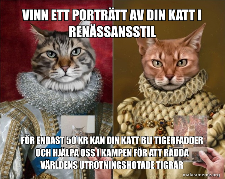 Vinn ett porträtt av din katt i renässansstil för endast 50 kr kan din ...