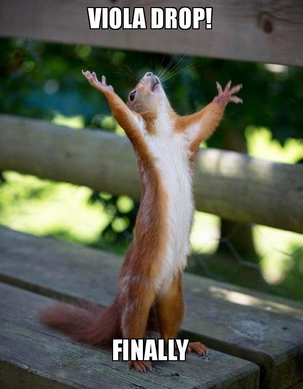 VIOLA DROP! Finally - Happy Squirrel Meme Generator
