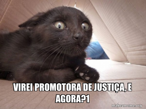 virei promotora de justiça, e agora?1 - Schitzo Cat Meme Generator