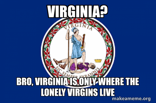 VIRGINIA? BRO, VIRGINIA IS ONLY WHERE THE LONELY VIRGINS LIVE Meme ...