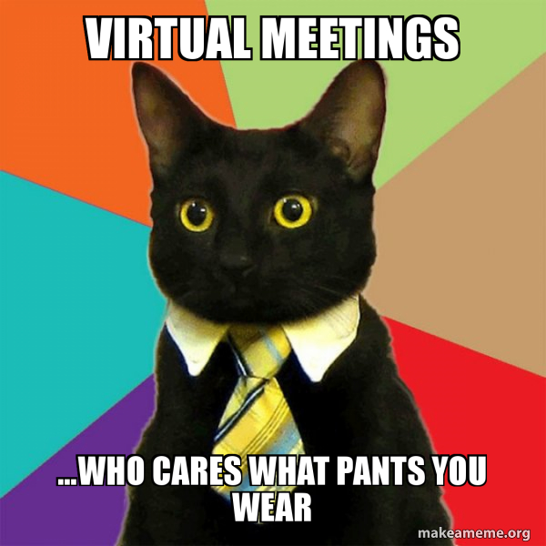 Virtual Meetings ...who cares what pants you wear - Business Cat Meme ...