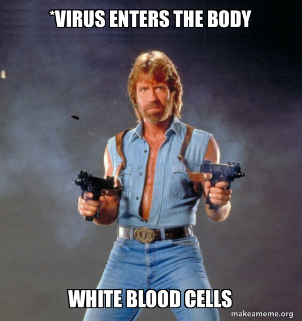 *Virus enters the body White Blood Cells - Chuck Norris Meme Generator