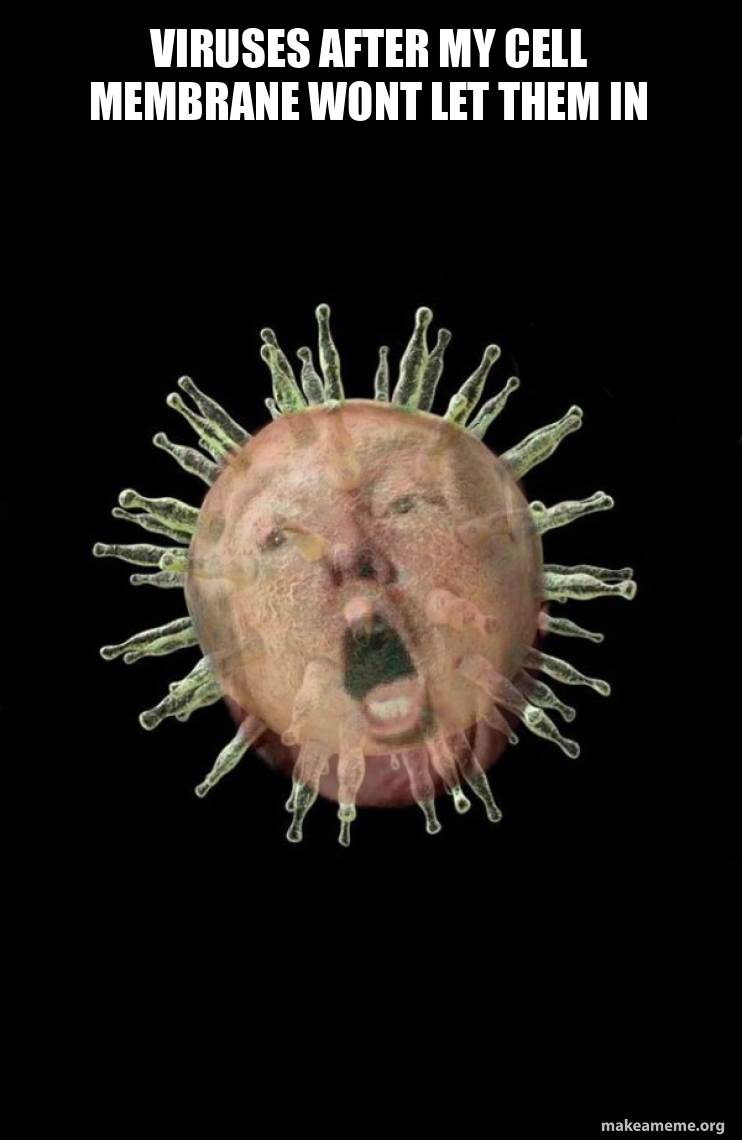 viruses after my cell membrane wont let them in - Trumpvirus ...