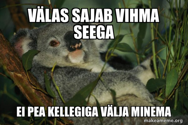 välas sajab vihma seega ei pea kellegiga välja minema - Laid Back Koala ...