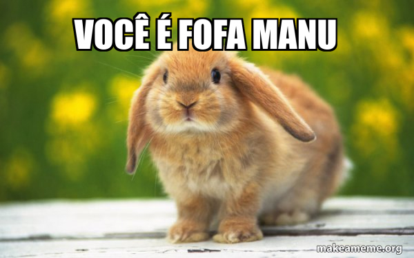 VOCÊ É FOFA MANU - Regretful Rabbit Meme Generator