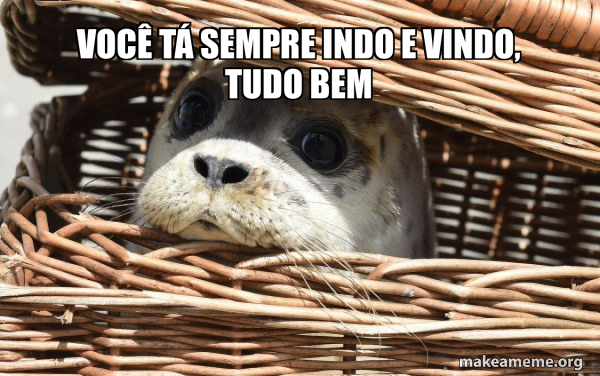 Você tá sempre indo e vindo, tudo bem - Impending Doom Seal Meme Generator