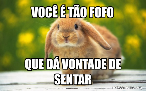 você é tão fofo que dá vontade de sentar - Regretful Rabbit Meme Generator
