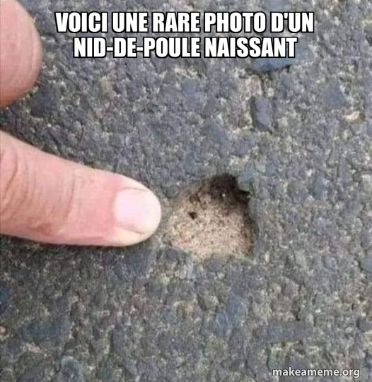 voici une rare photo d'un nid-de-poule naissant Meme Generator