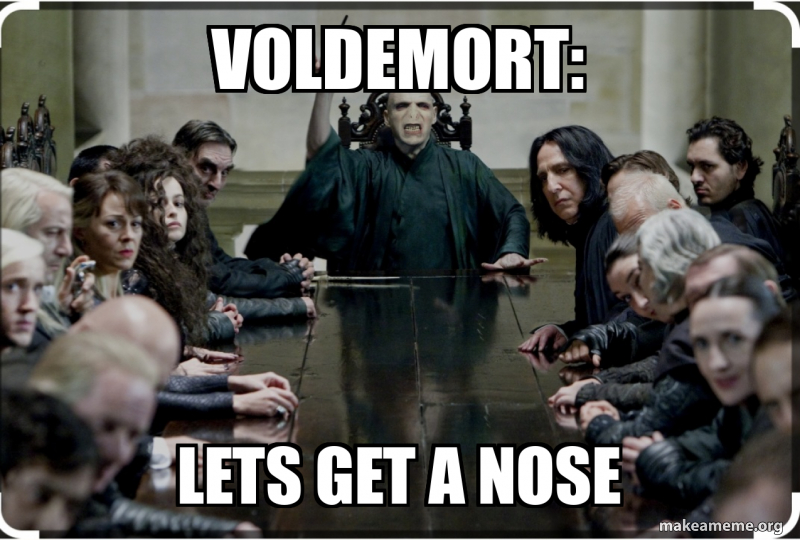 Voldemort: Lets get a nose Meme Generator