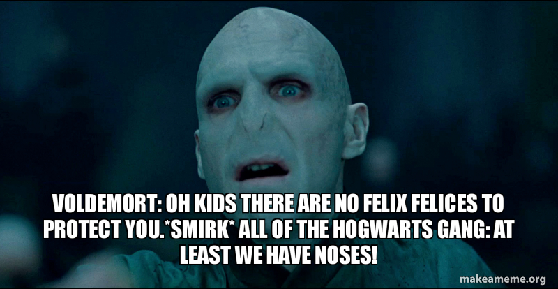 Voldemort: Oh kids there are no felix felices to protect you.*Smirk ...